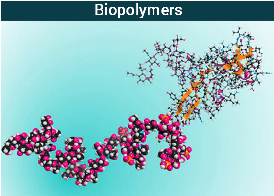 Biopolymers: A Complete Guide for 2019