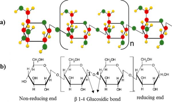 Biopolymers: A Complete Guide for 2019