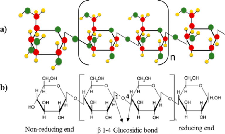 Biopolymers: A Complete Guide for 2019