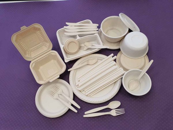 Top 10 Eco-Friendly Products for Everyday Use: Moving Towards a ...