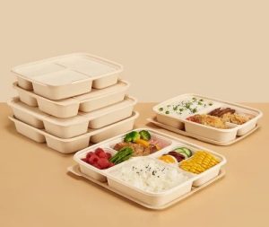 Biodegradable Lunch Boxes - GreenCompostables.com