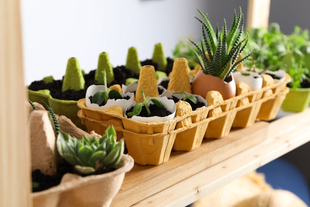 Biodegradable Flower Pots - Green Compostables