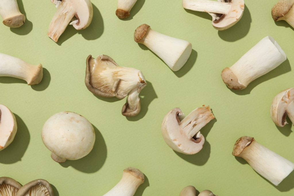 Mushroom Packaging - Green Compostables