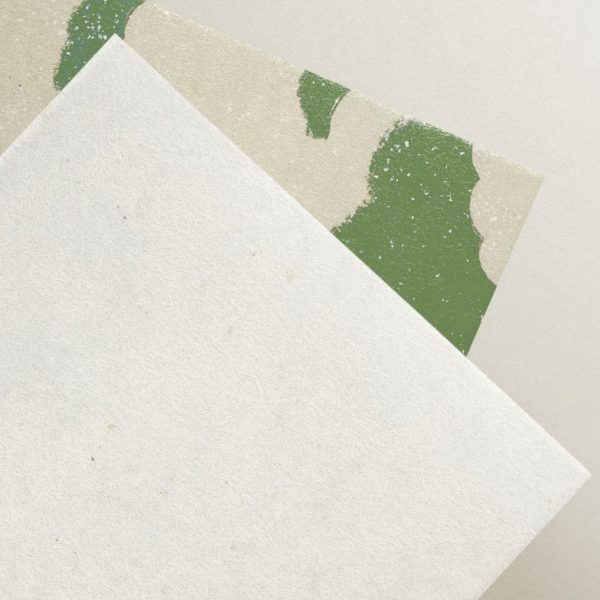 Understanding Kraft Paper - Green Compostables