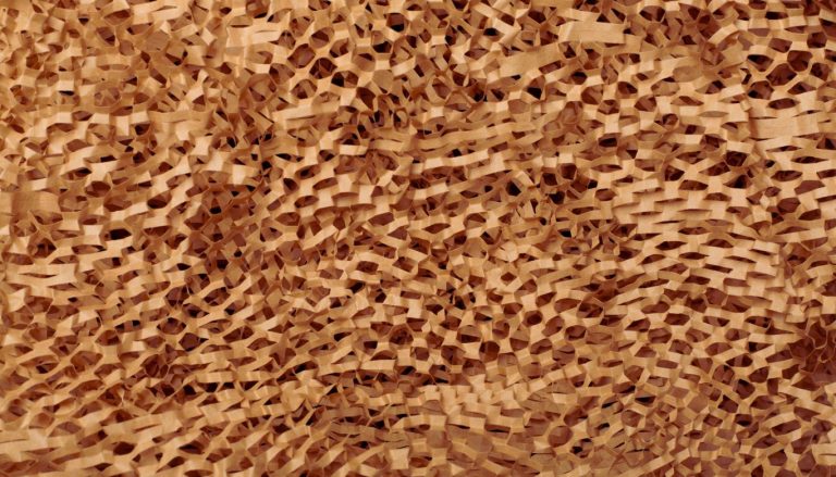 Honeycomb Paper Packaging - Green Compostables