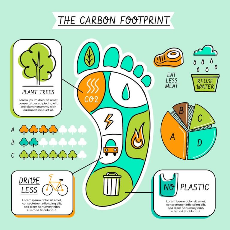 Top 20 Zero Waste Products - Green Compostables